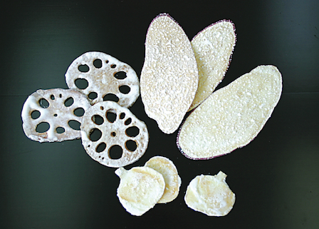 『みちくさランニング』のコースを東海TVの本仮屋アナと走ろう！: 名古屋ランニングジャーナル